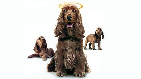 Prime Video: Miracle Dogs Too