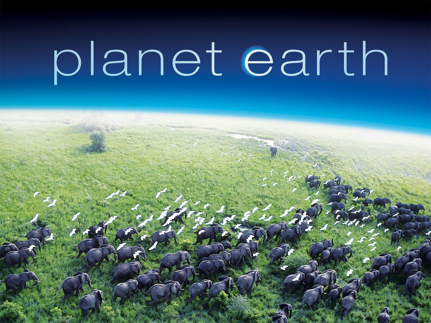 Prime Video: Planet Earth - Season 1