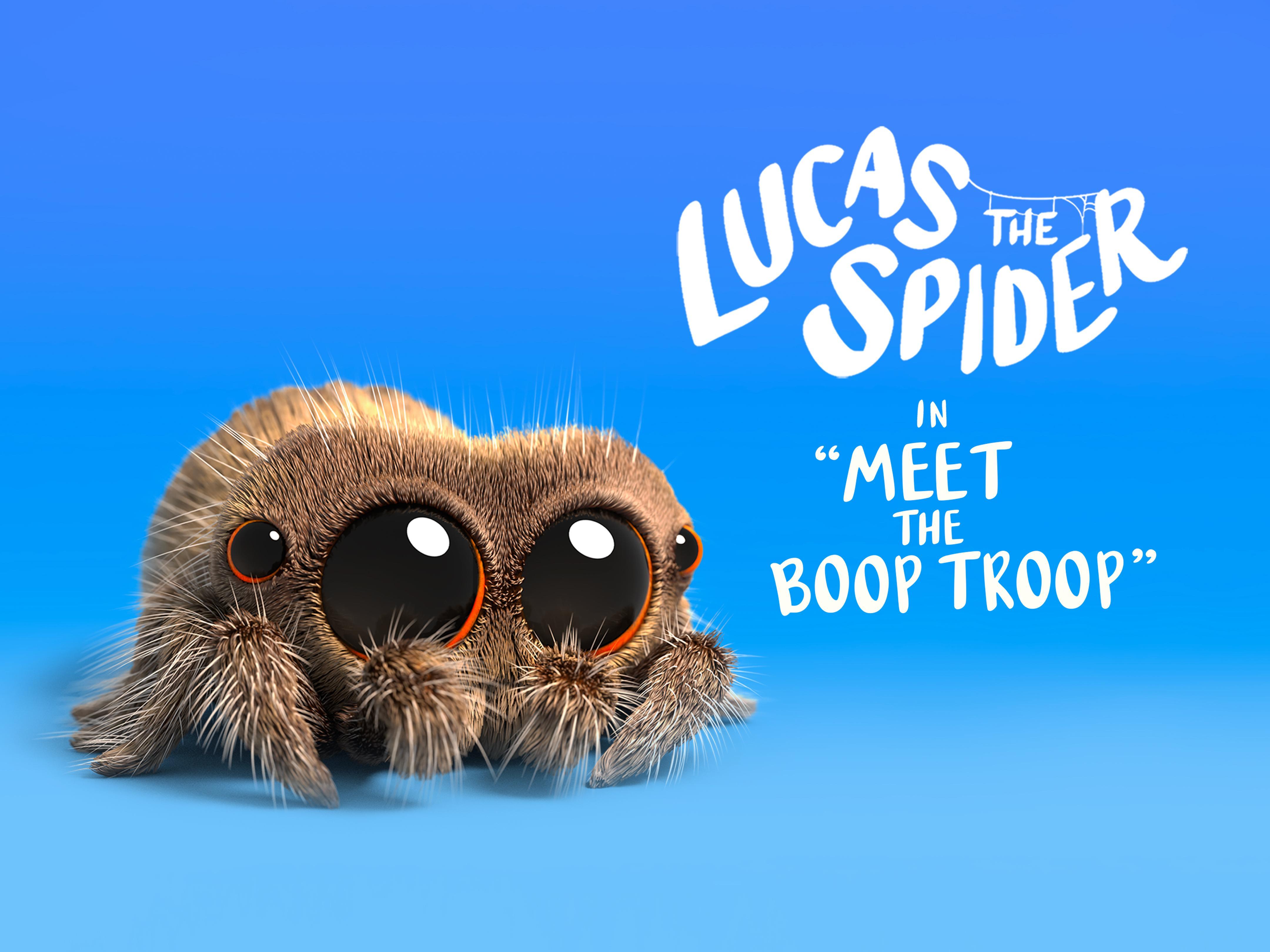 Prime Video: Lucas the Spider Shorts: Meet the Boop Troop, Season 1