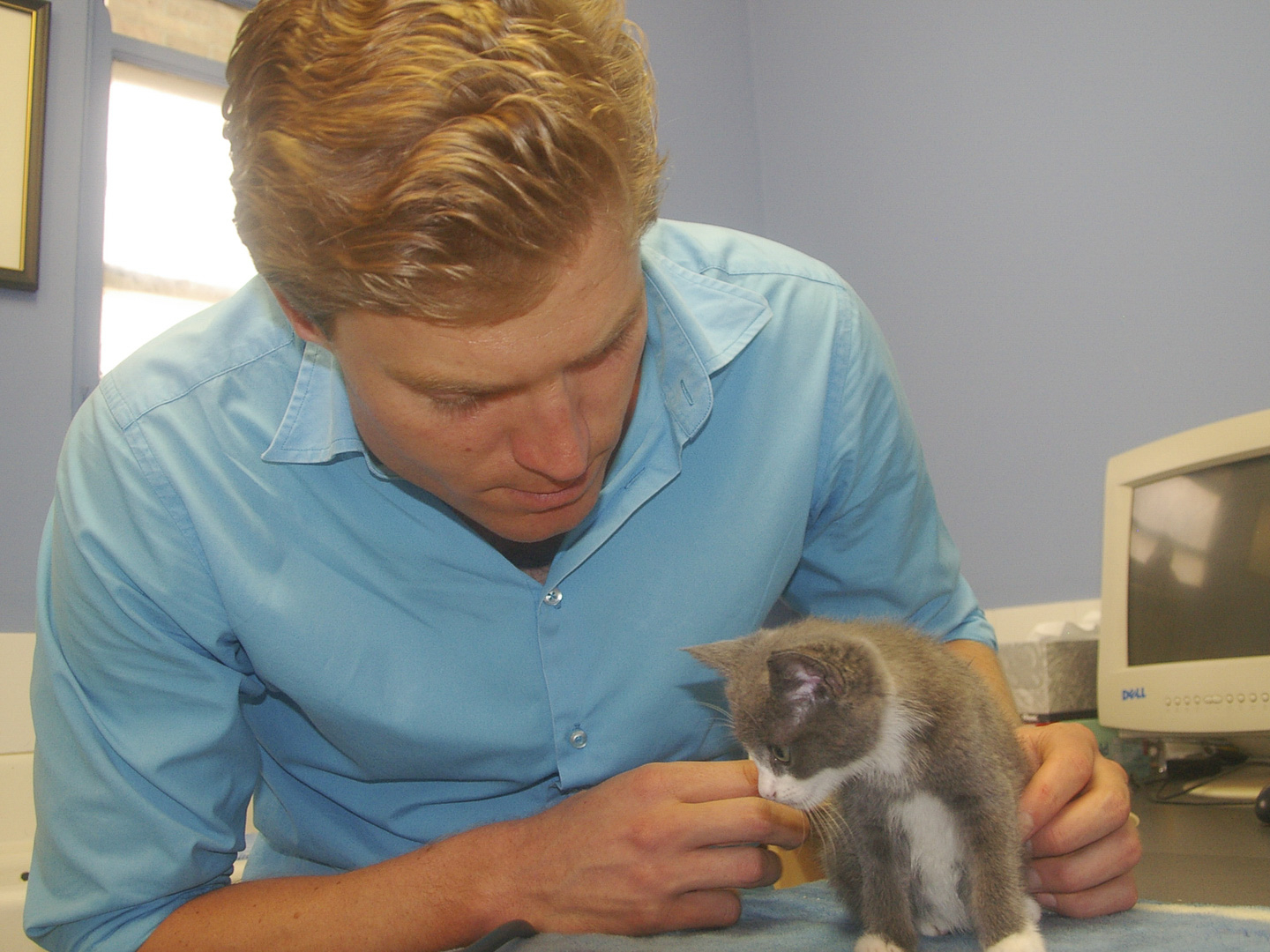 Prime Video: Bondi Vet - Season 2