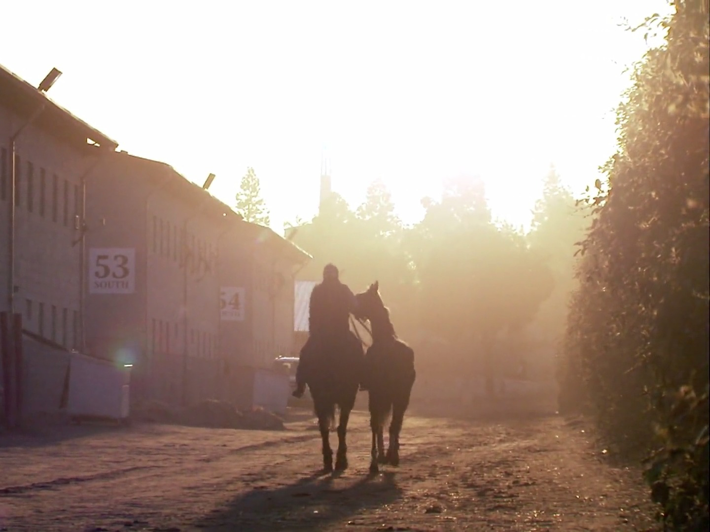 Prime Video: Jockeys - Season 2