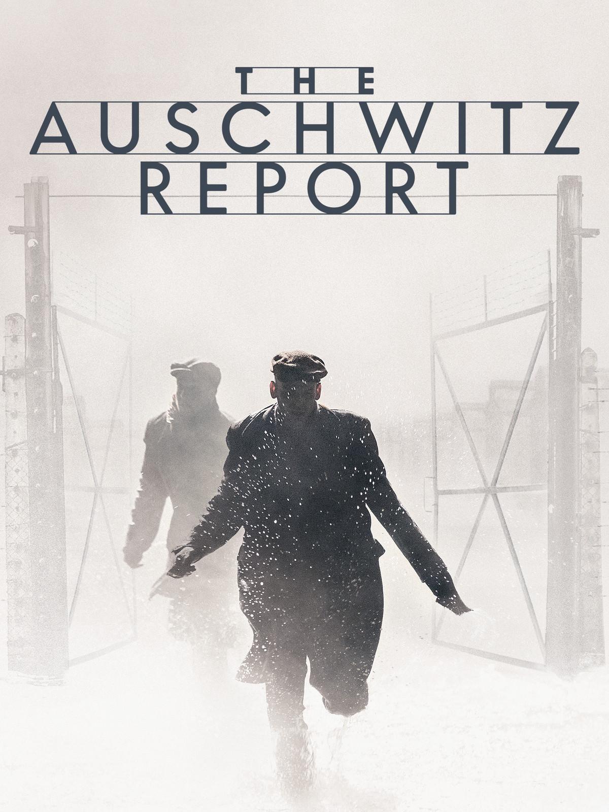 Prime Video: The Auschwitz Report