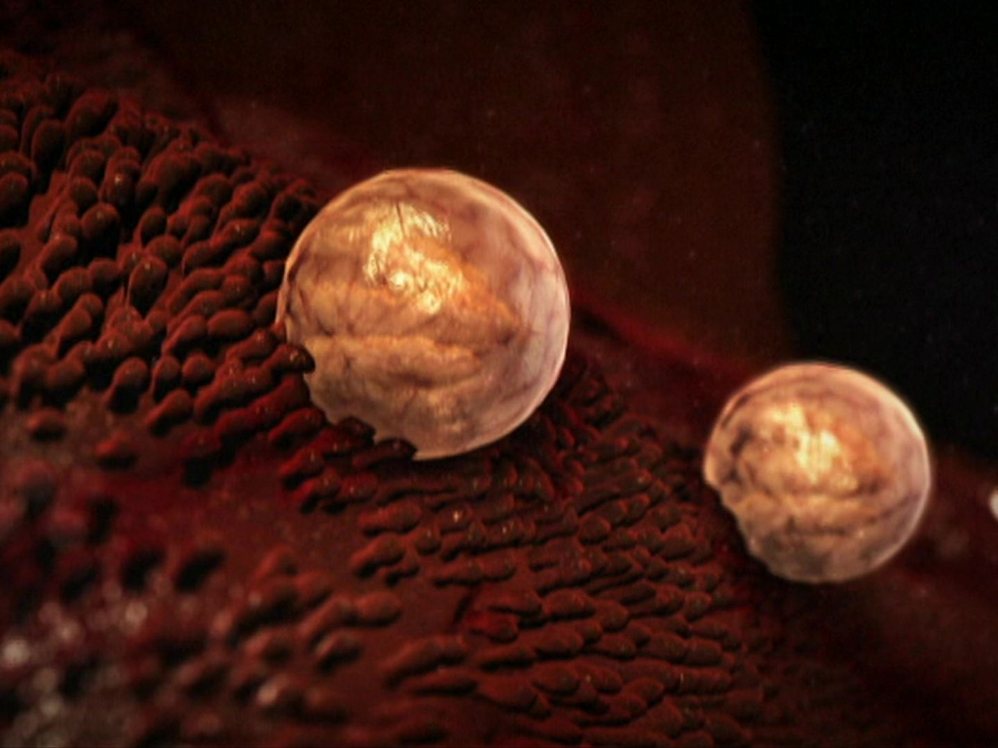 Prime Video: Monsters Inside Me - Season 2