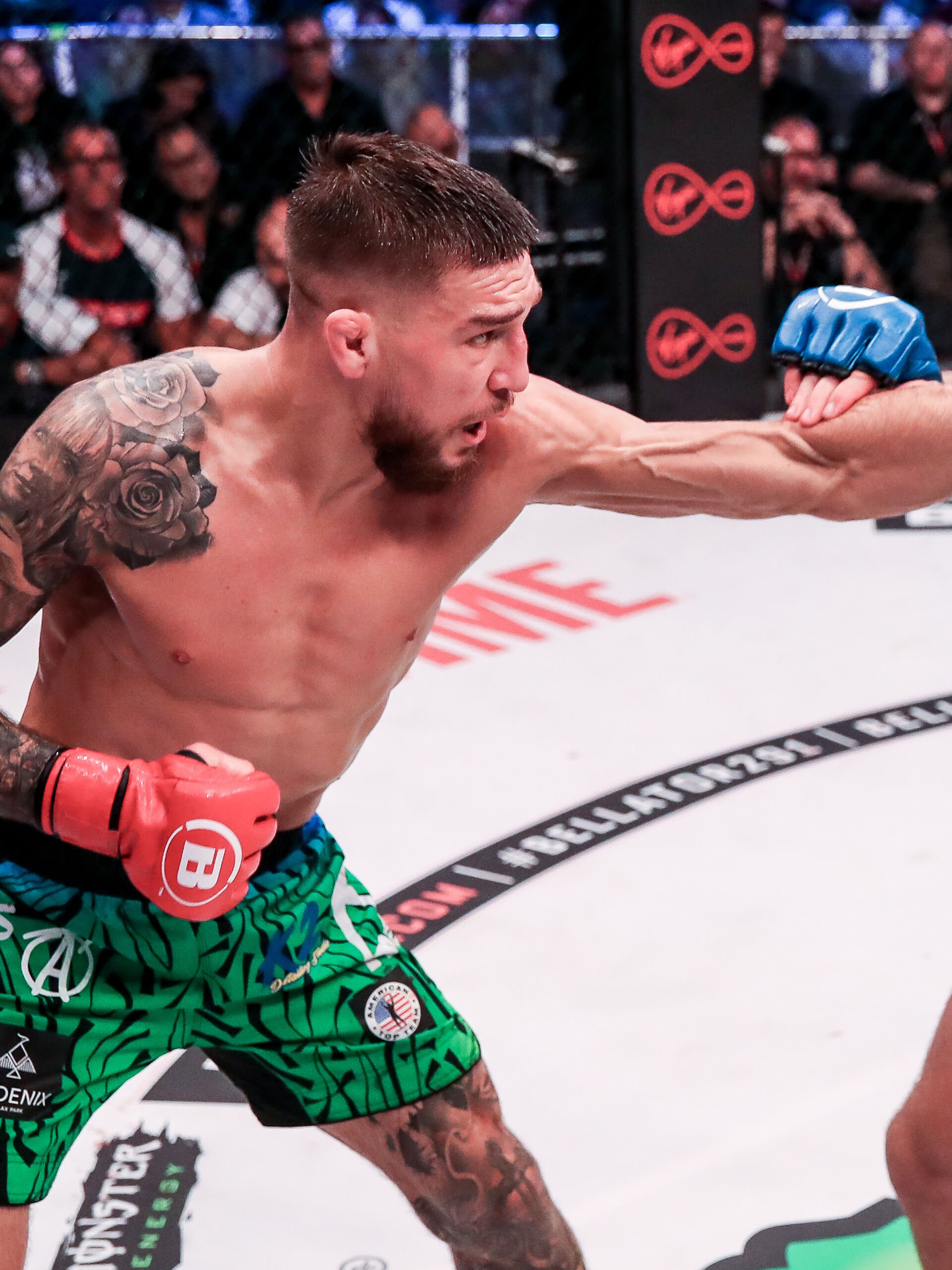 Prime Video: BELLATOR MMA 291: Amosov vs. Storley 2 (R)