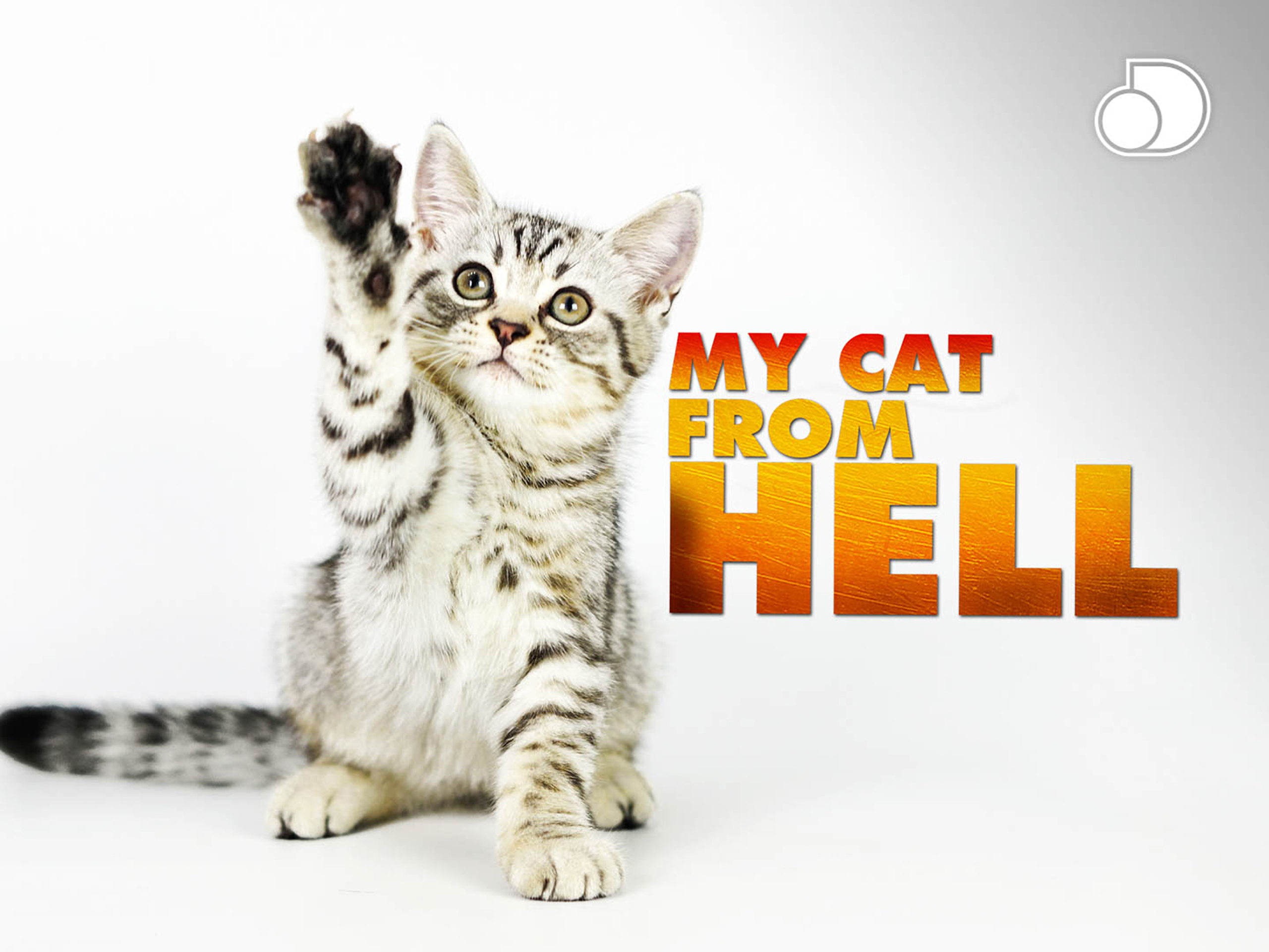 Prime Video: My Cat From Hell - Season 7