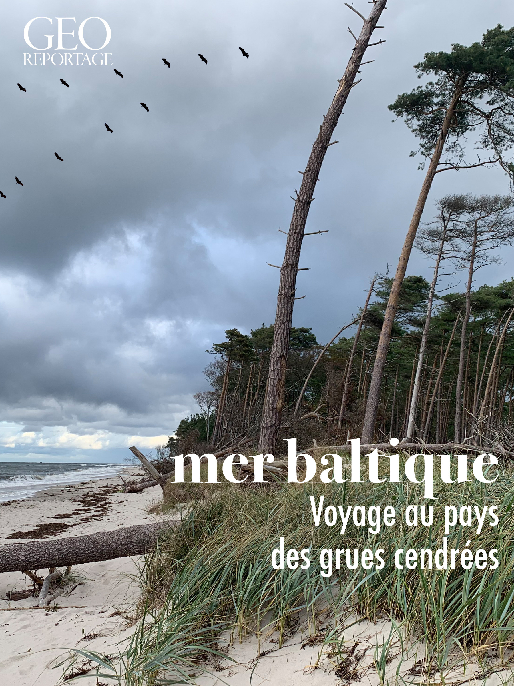 Prime Video: Mer baltique, voyage au pays des grues cendrées