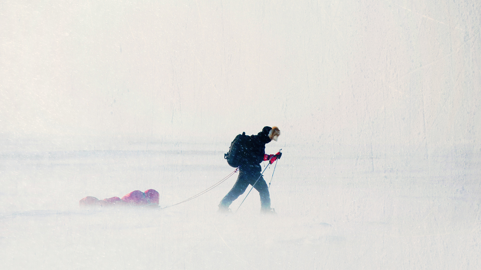 Prime Video: Life Below Zero - Season 2