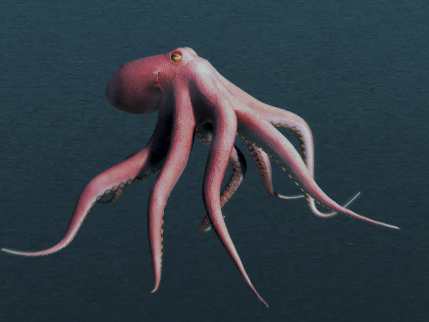 Prime Video: MonsterQuest - Season 2