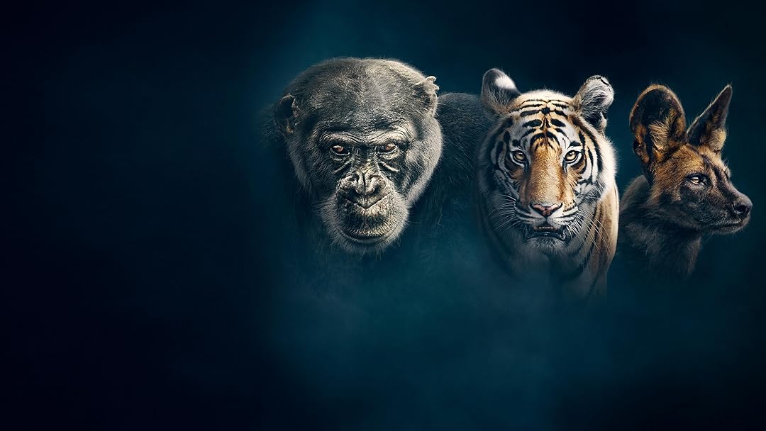 Prime Video: Dynasties - Season 1
