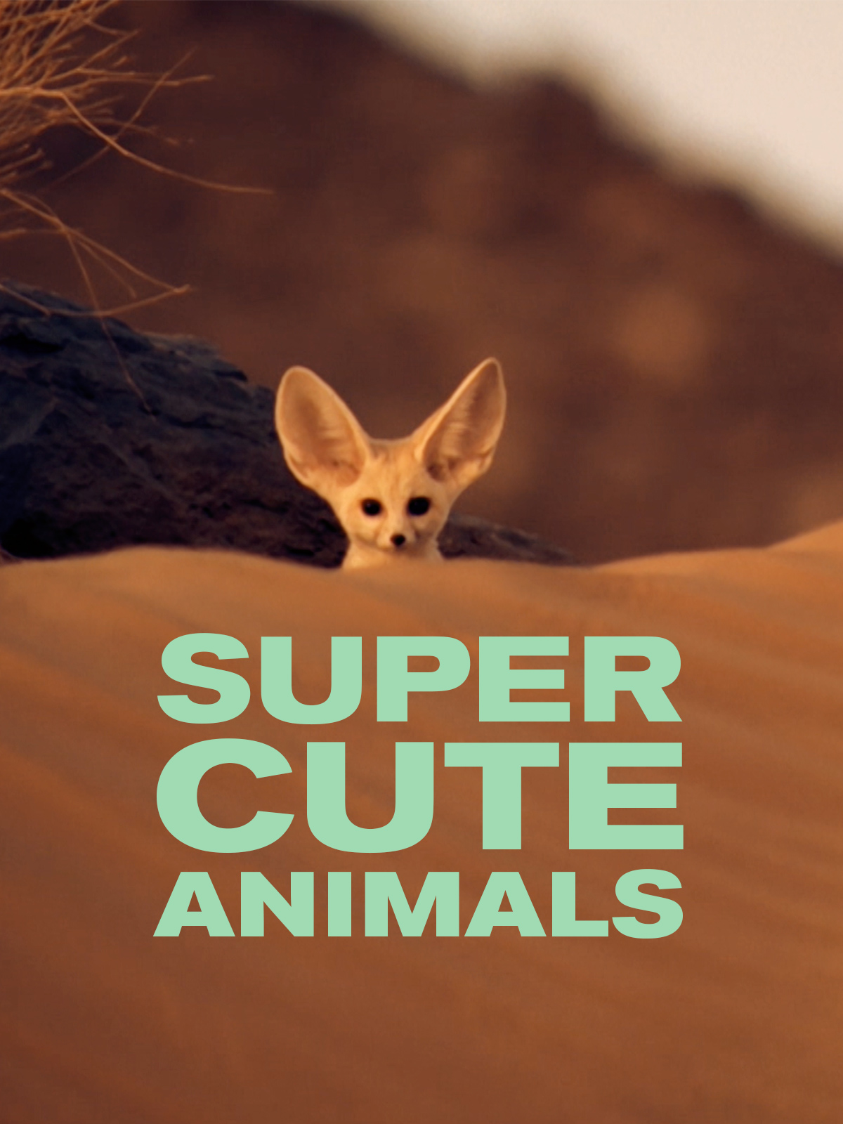 Prime Video: SUPER CUTE ANIMAL