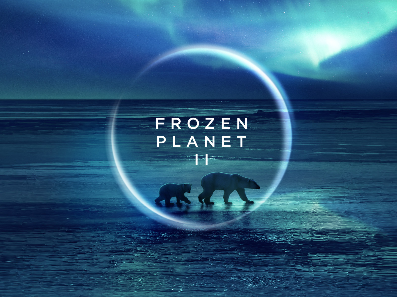 Prime Video: Frozen Planet II