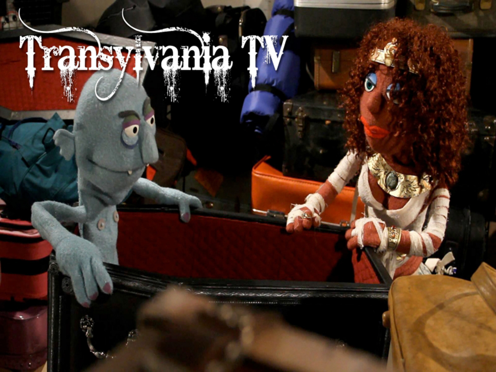 Prime Video: Transylvania TV