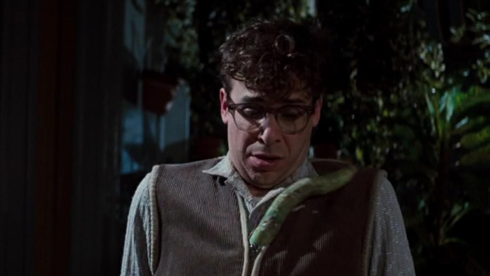 Watch Little Shop of Horrors (1986) | Prime Video