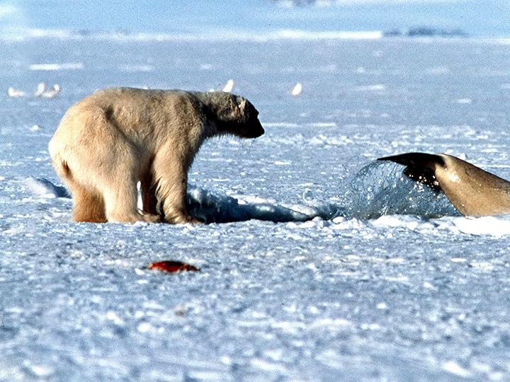 Prime Video: Blue Planet: Seas of Life - Season 1