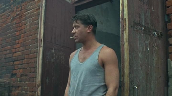 Amazon.com: The Thief : Vladimir Mashkov, Yekaterina Rednikova, Mikhail ...