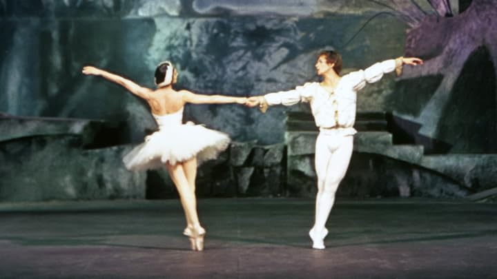 Amazon.com: Vienna State Ballet: Tchaikovsky's Swan Lake : Vienna State Balleet, Hermann Prey ...