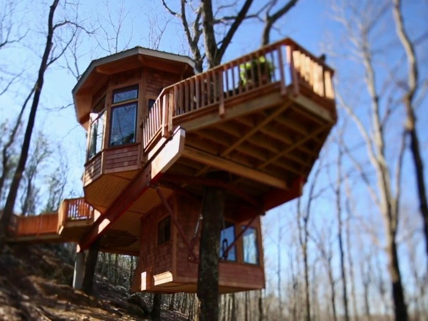 Prime Video: Treehouse Masters - Season 7