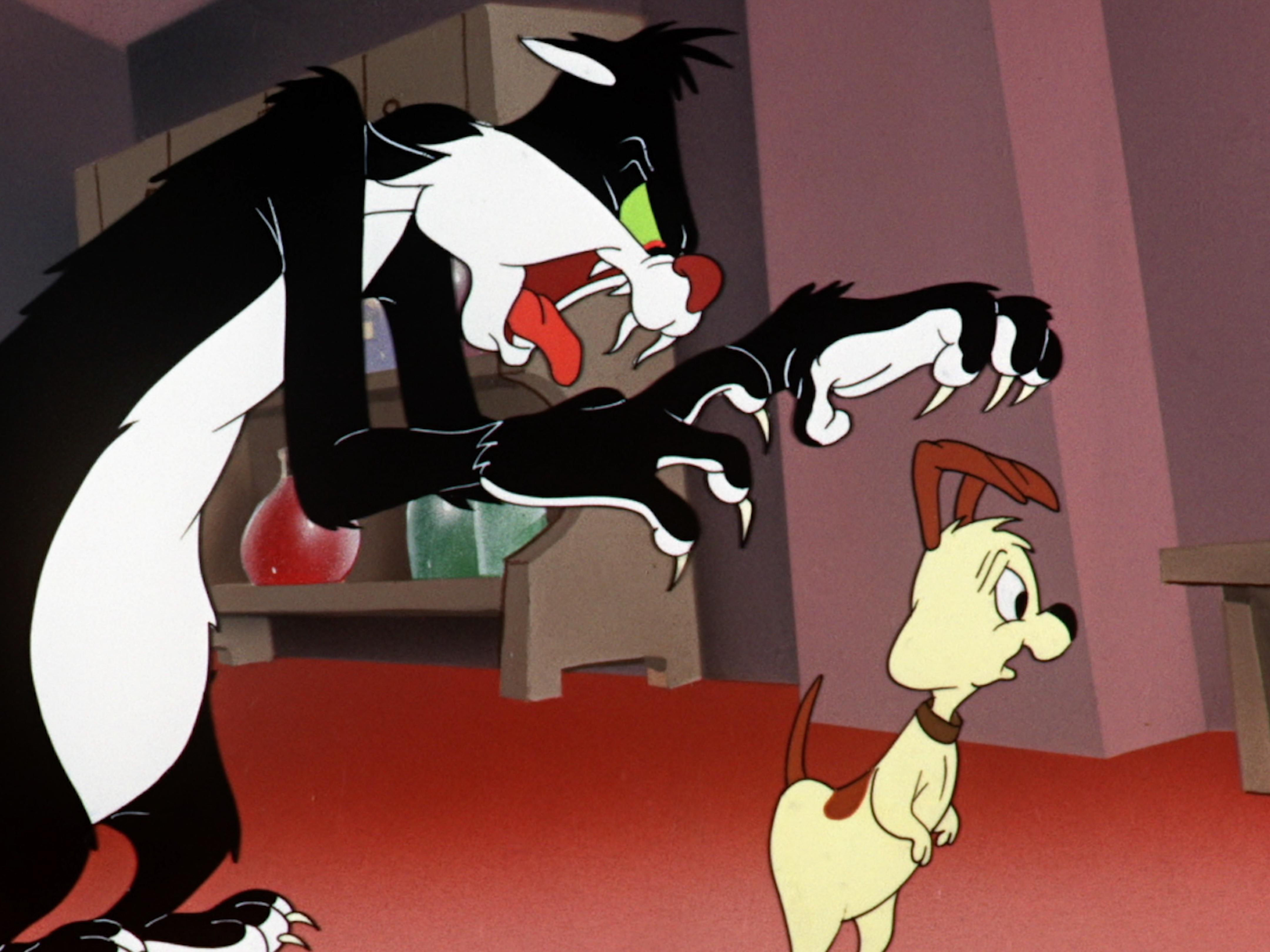 Prime Video: Looney Tunes - Season 19