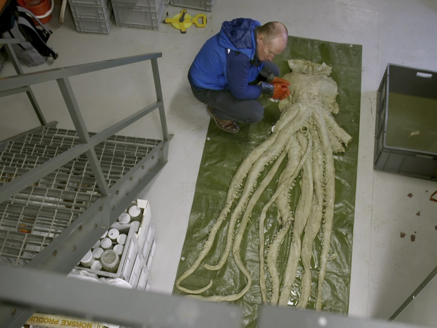 Prime Video: Mythical Beasts - Season 1