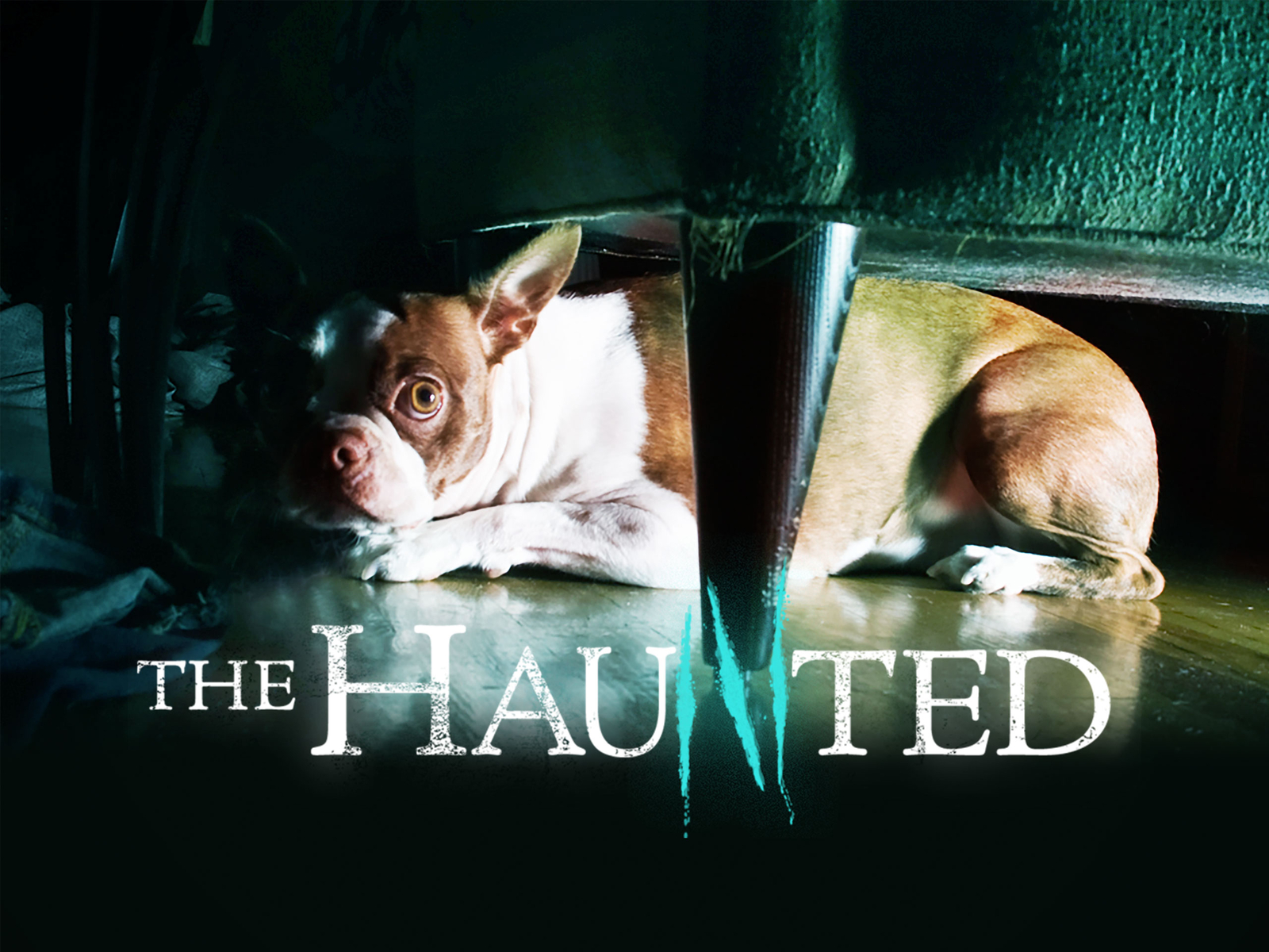Prime Video: The Haunted - Season 1