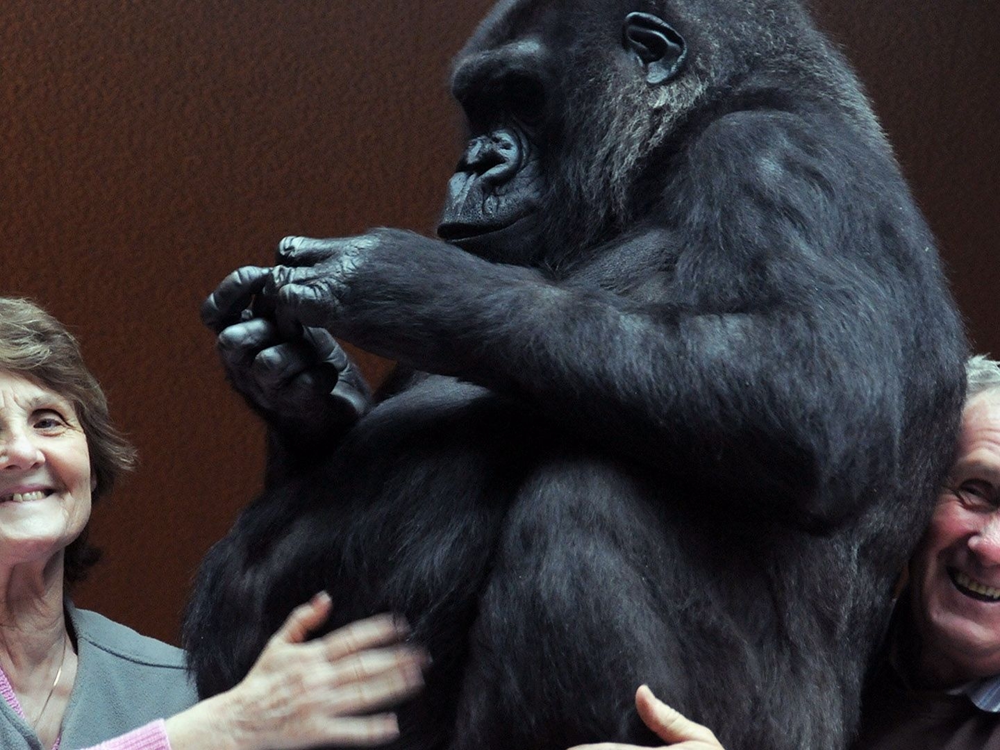 Prime Video: Preposterous Pets - Season 1