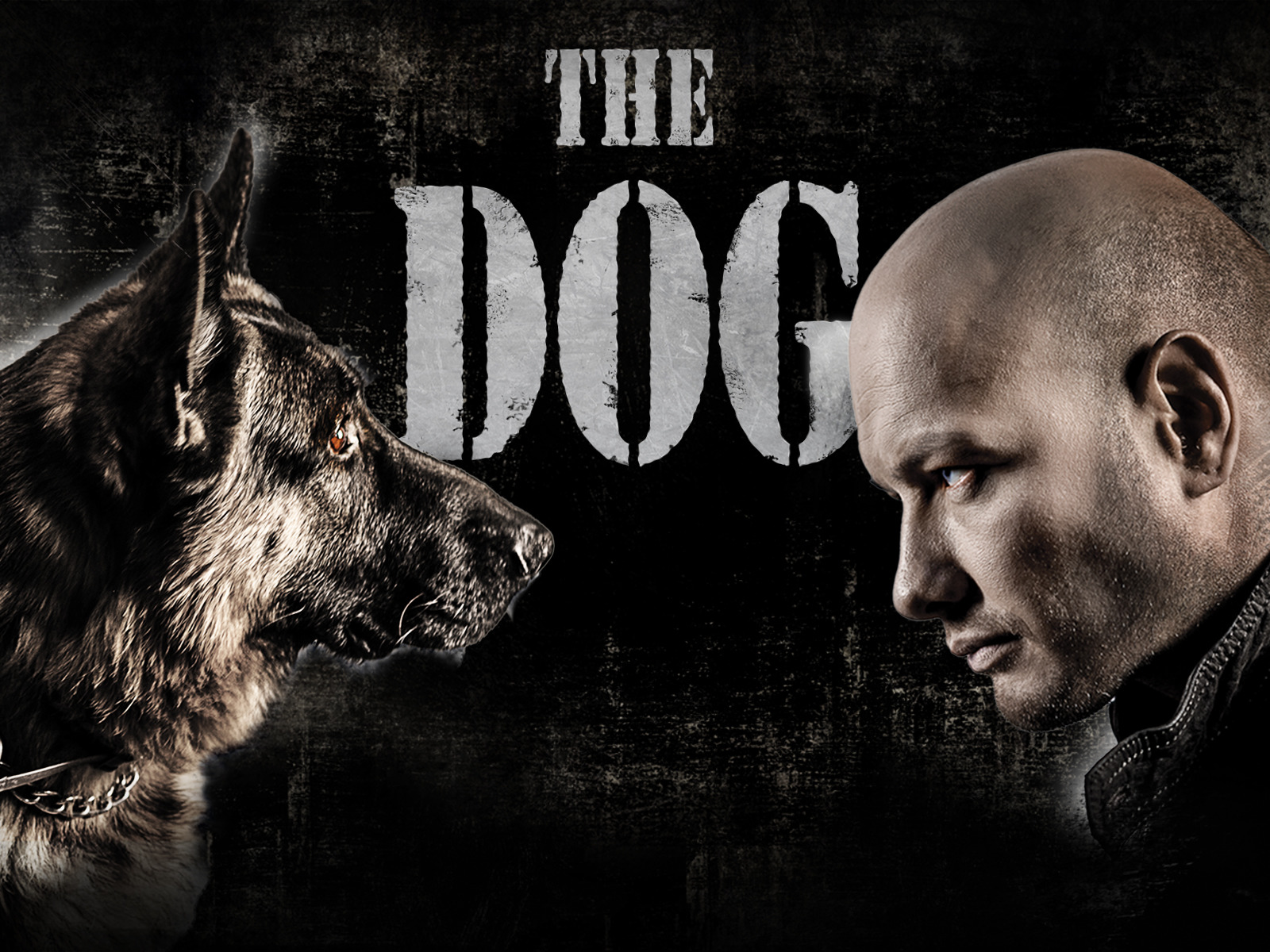 Prime Video: The Dog