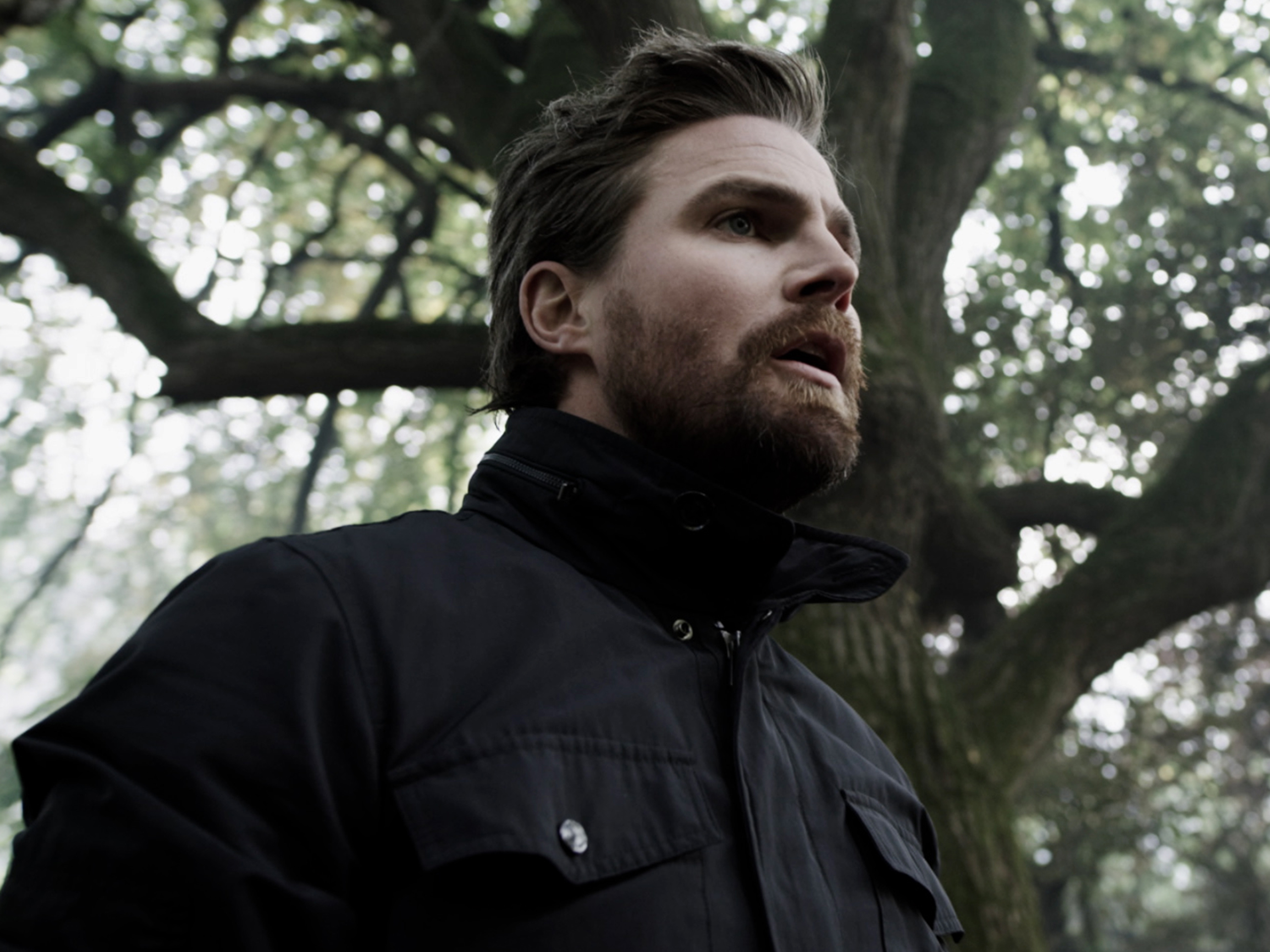 Prime Video: Arrow - Season 8