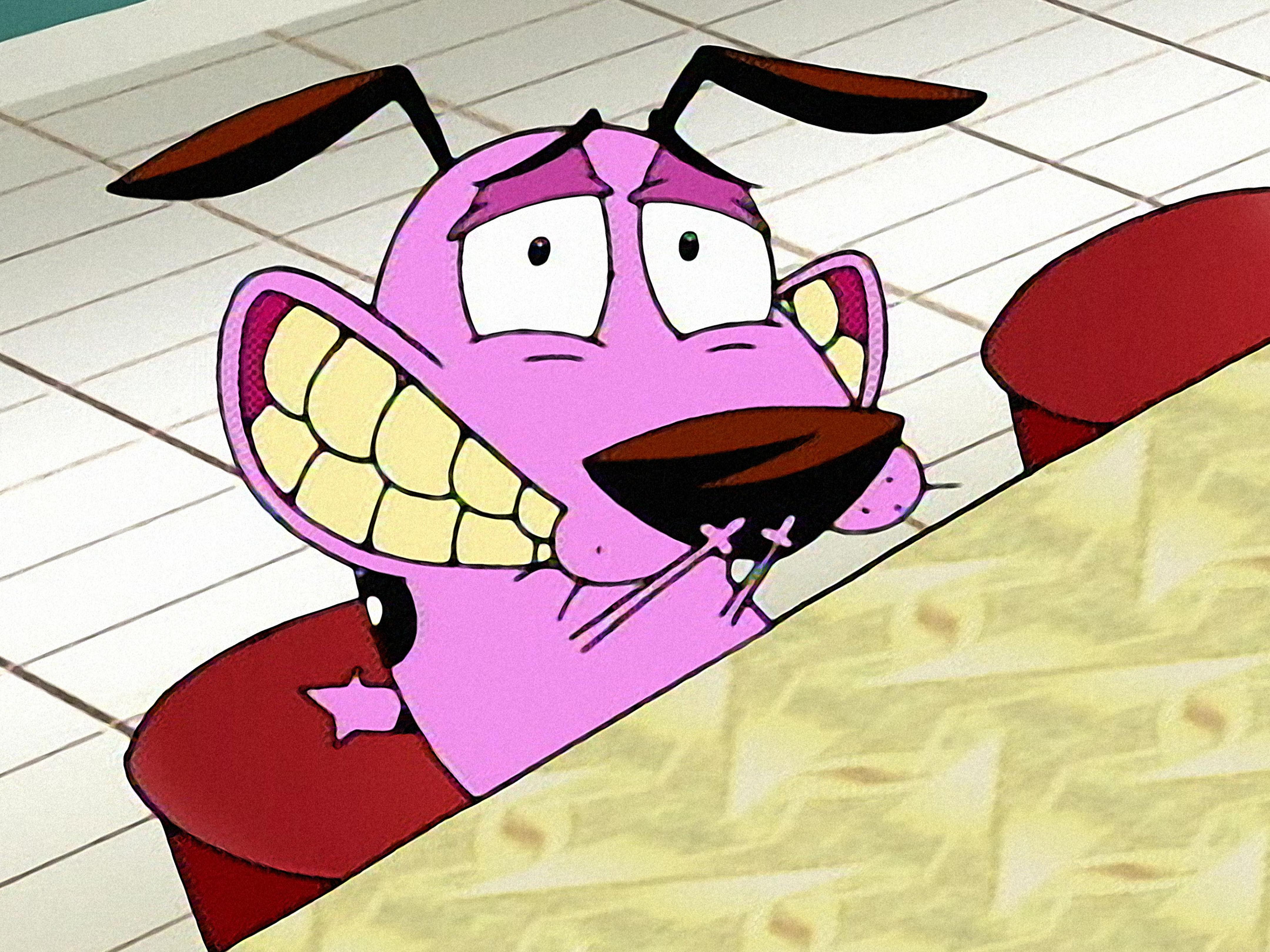 Prime Video: Courage the Cowardly Dog - Season 1