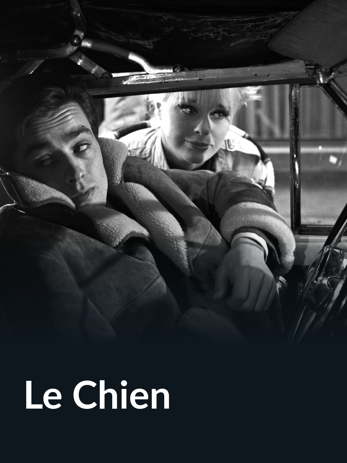 Prime Video: Le Chien
