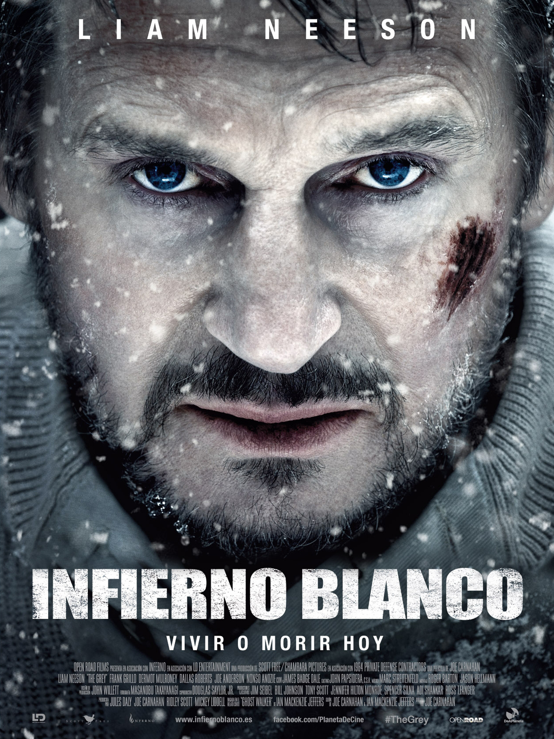 Prime Video: The Grey