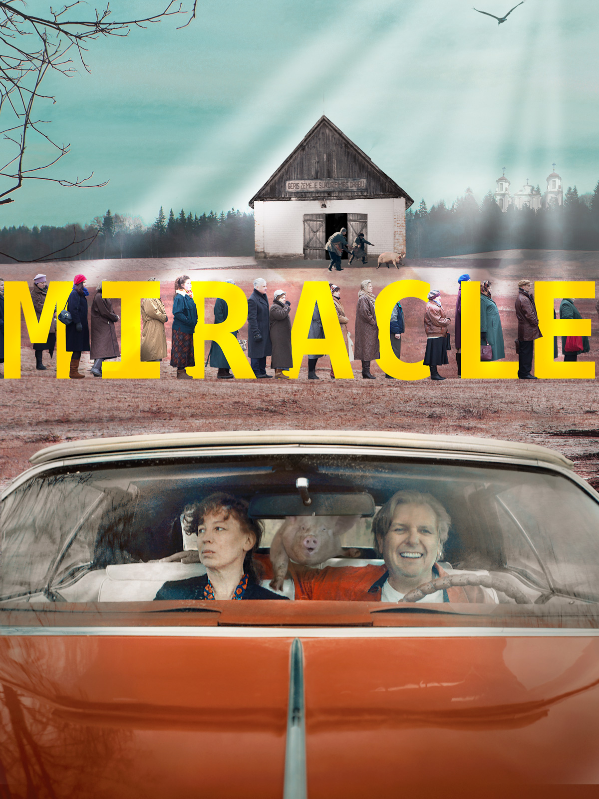 Prime Video: Miracle