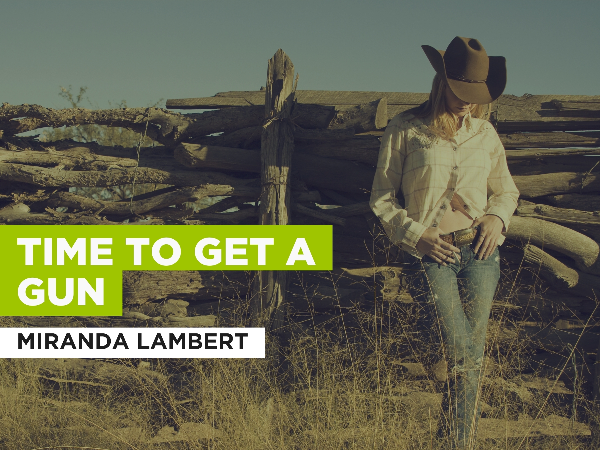 Miranda Lambert Guns