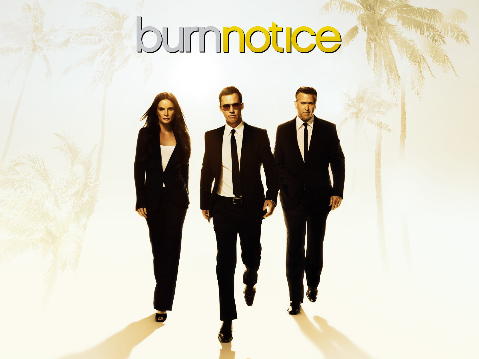 Prime Video: Burn Notice Season 6