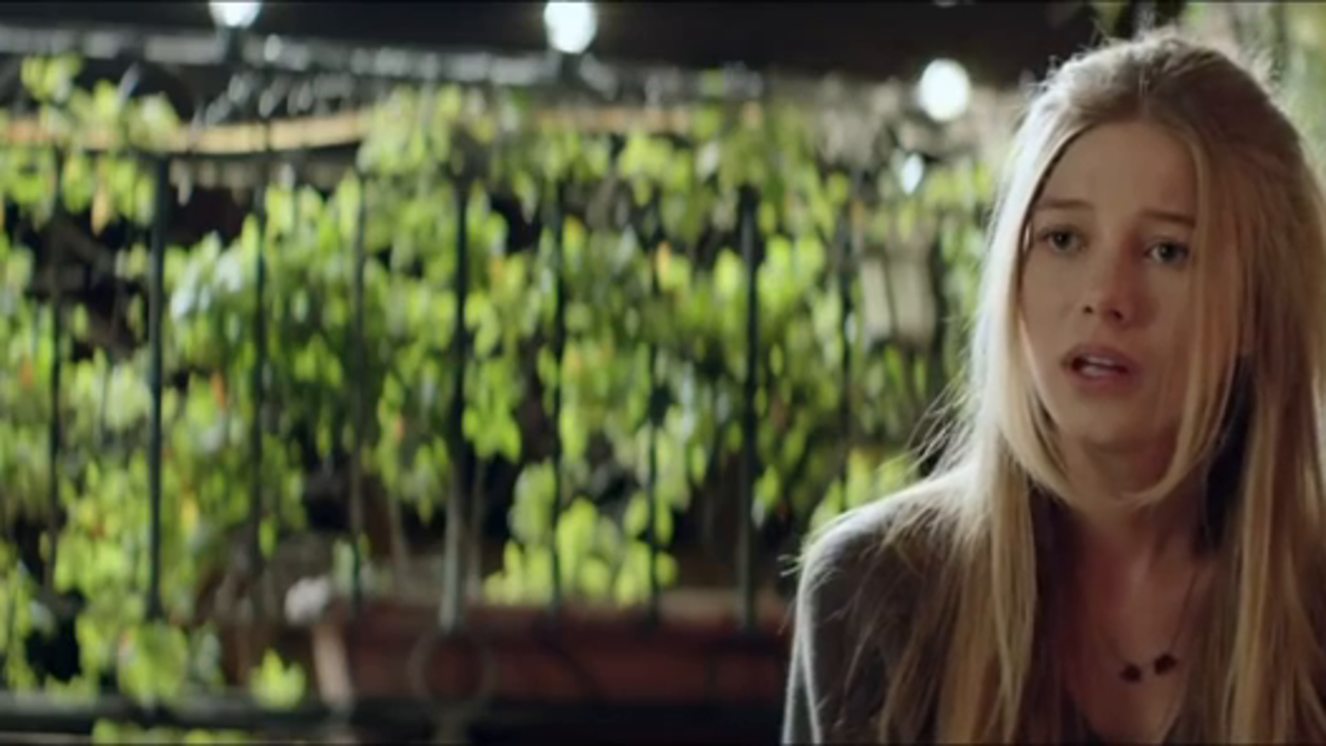 Prime Video: Misfits Club