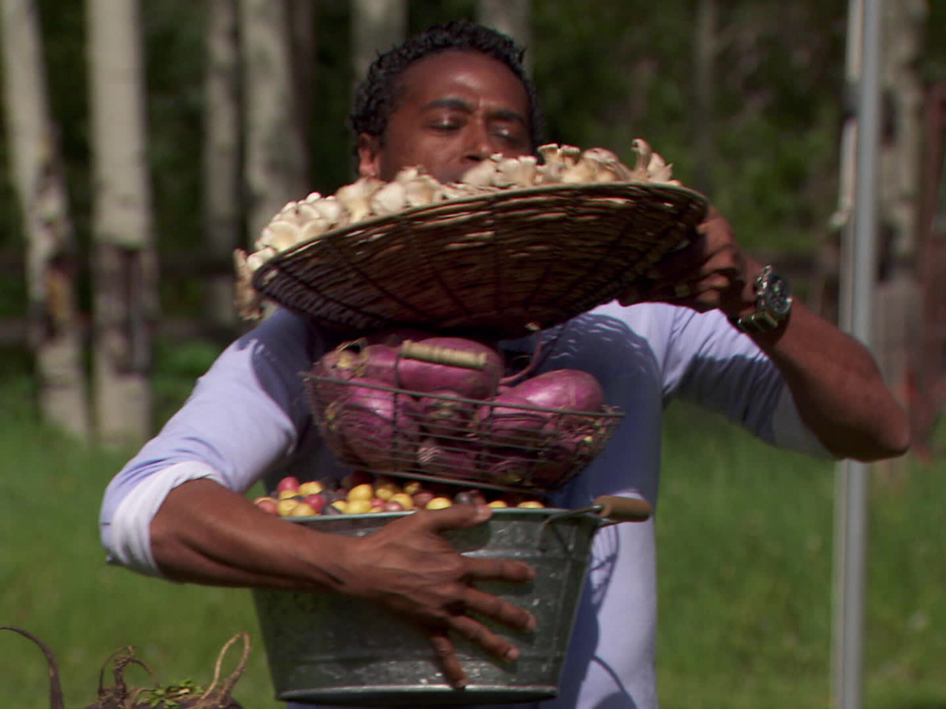 Prime Video: Top Chef - Season 15