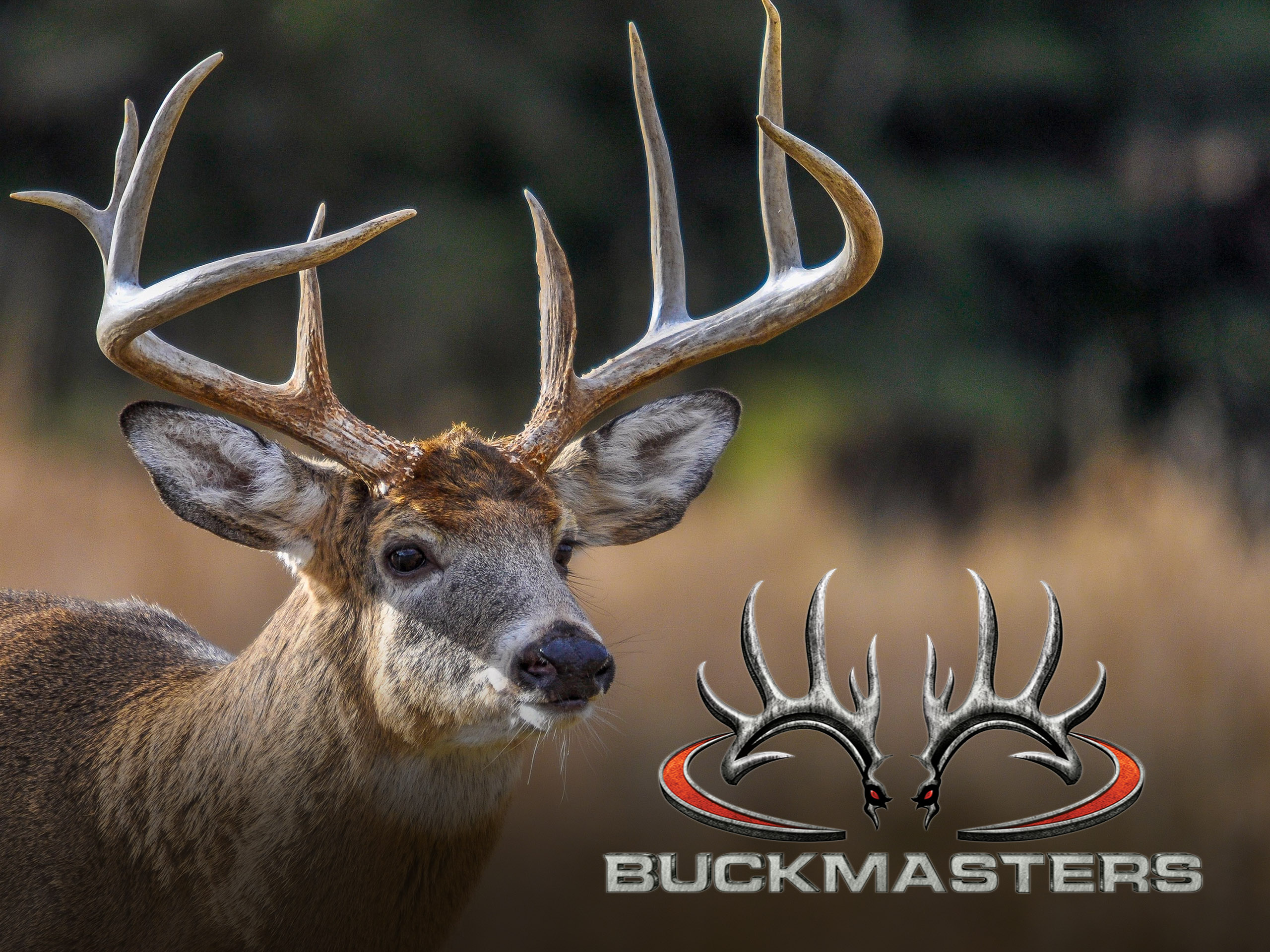 Prime Video: Buckmasters - Season 35
