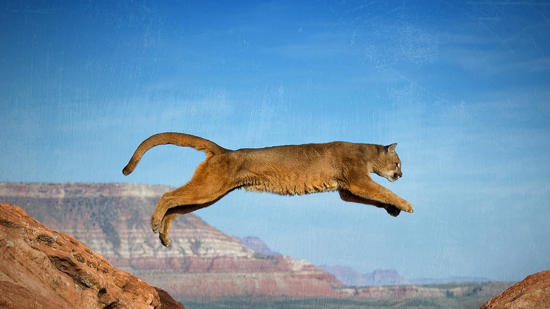 Prime Video: Wild Border - Season 1