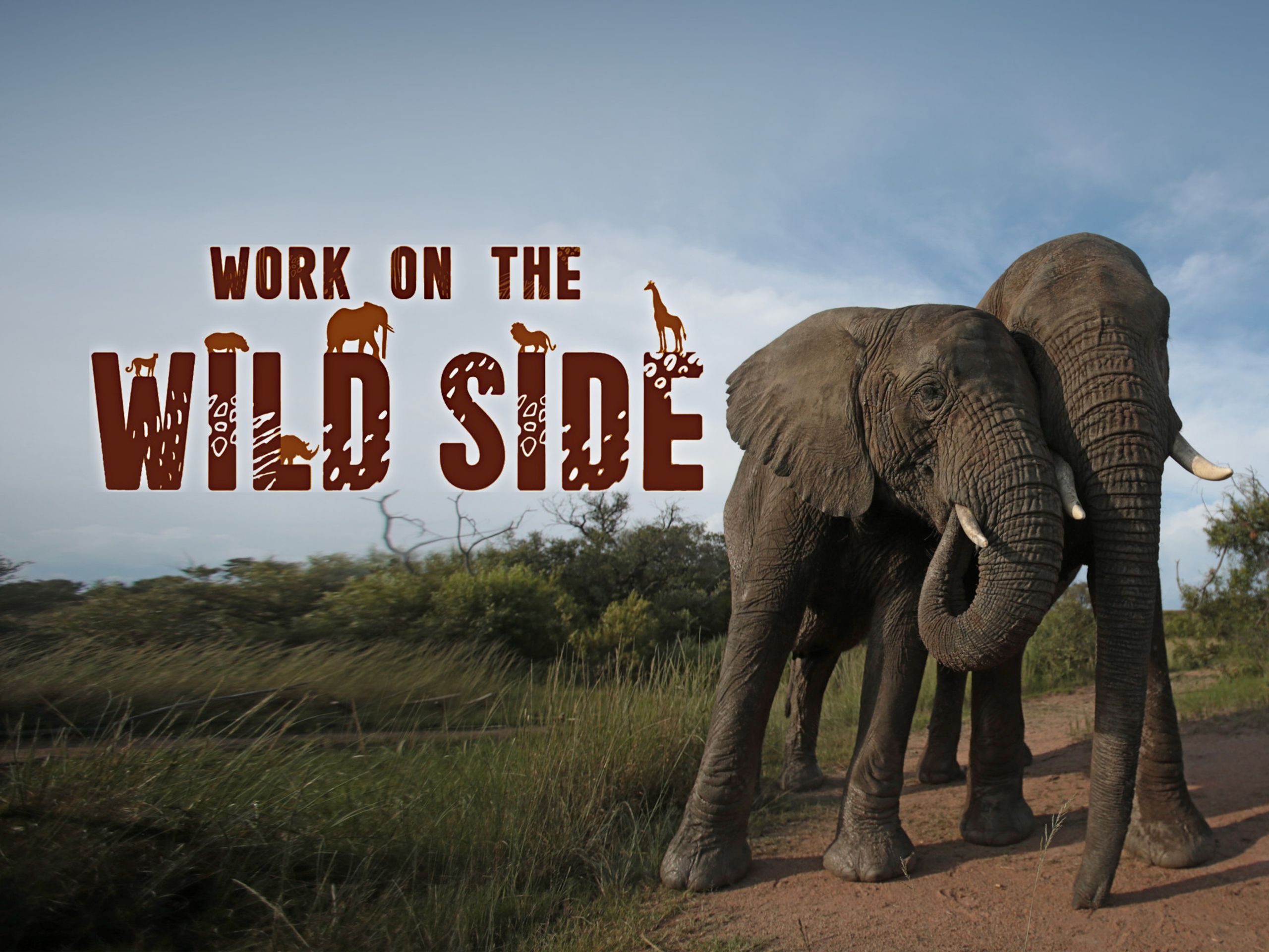 Prime Video: Work on the Wild Side - Season 1