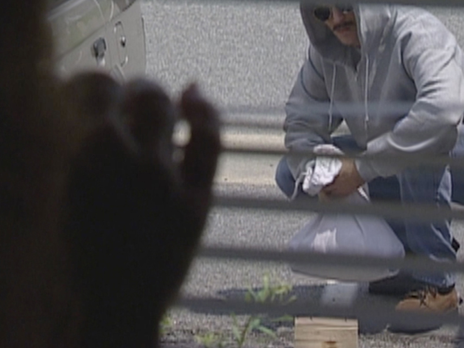 Prime Video: The FBI Files