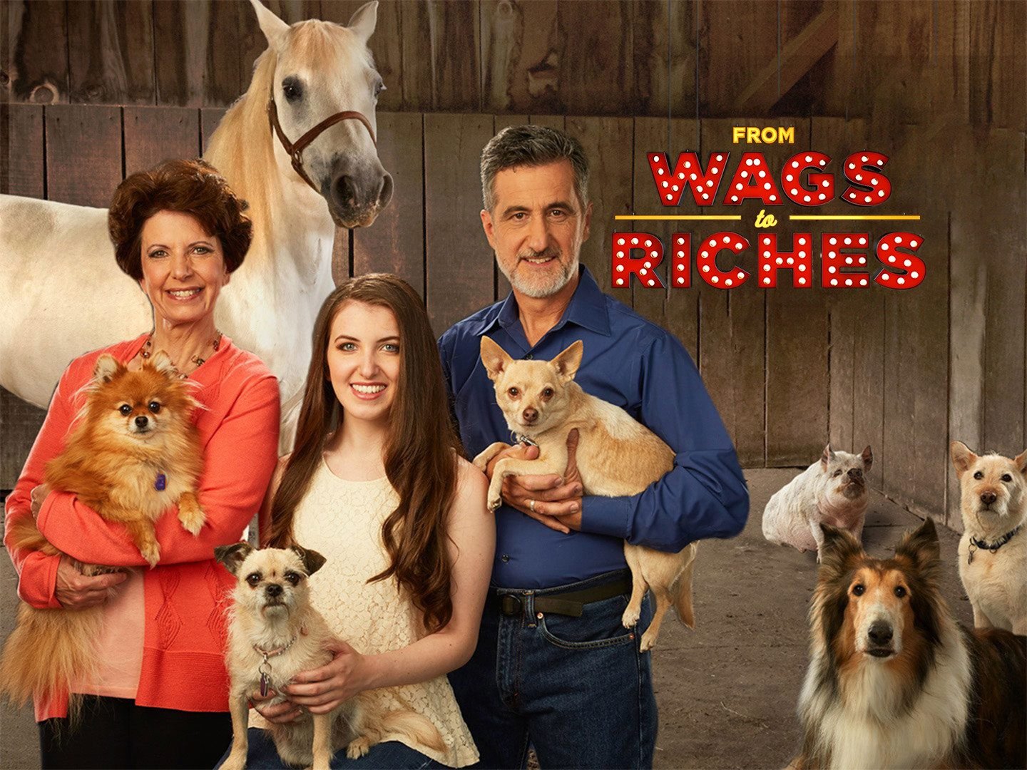 Prime Video: From Wags to Riches With Bill Berloni