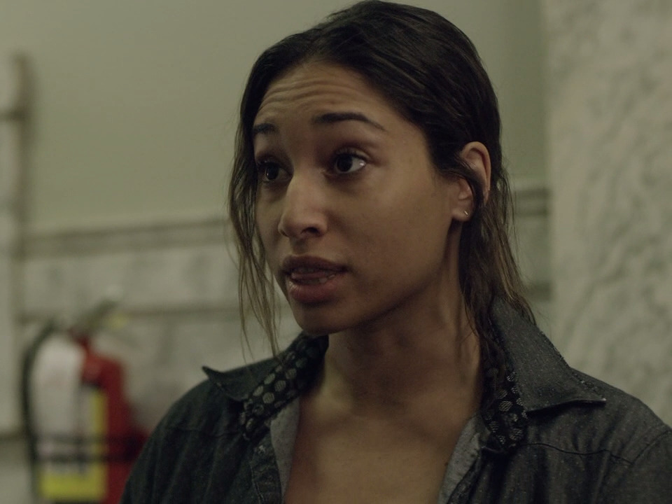 Prime Video: Rogue Season 4