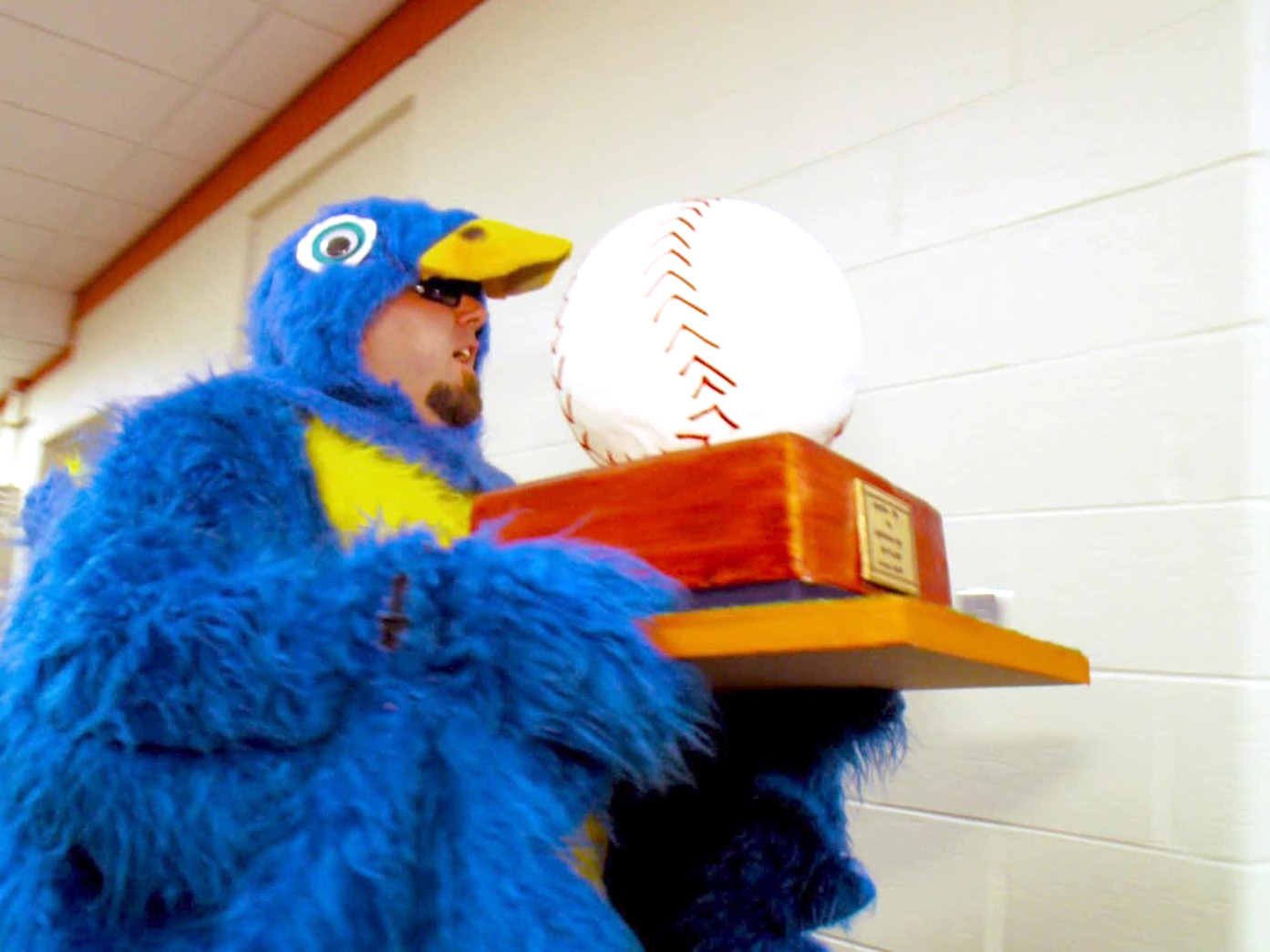 Prime Video: Ace of Cakes - Season 9