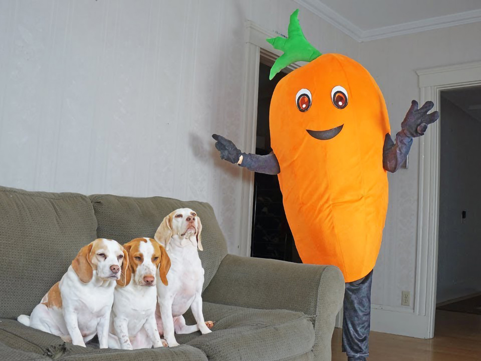 Prime Video: Maymo Gets Pranked