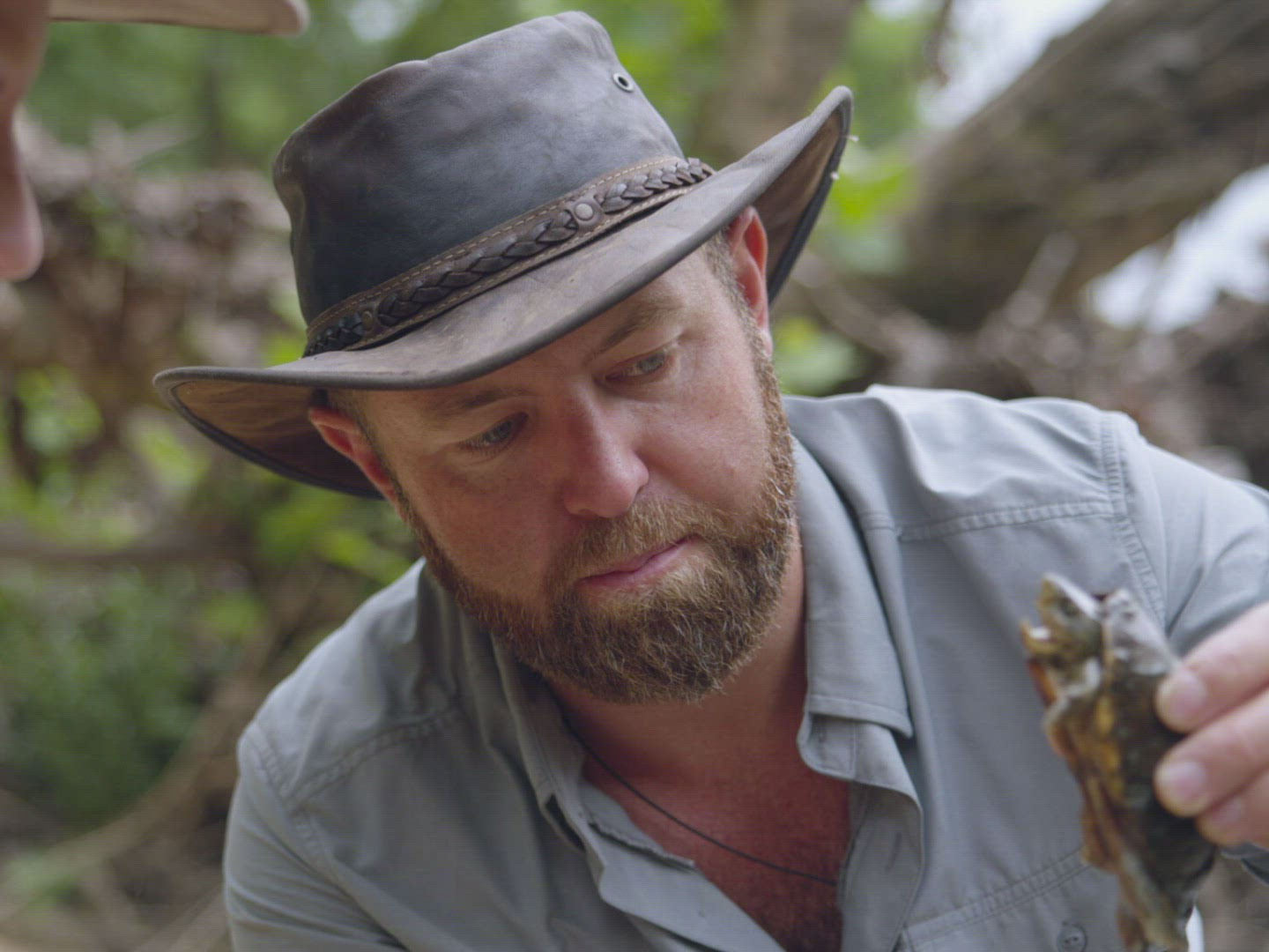 Prime Video: Mysterious Creatures With Forrest Galante - Season 1