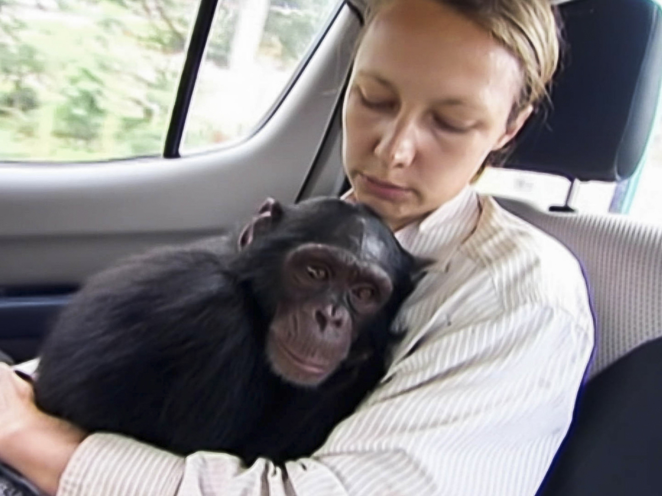 Prime Video: Going Ape - Season 2