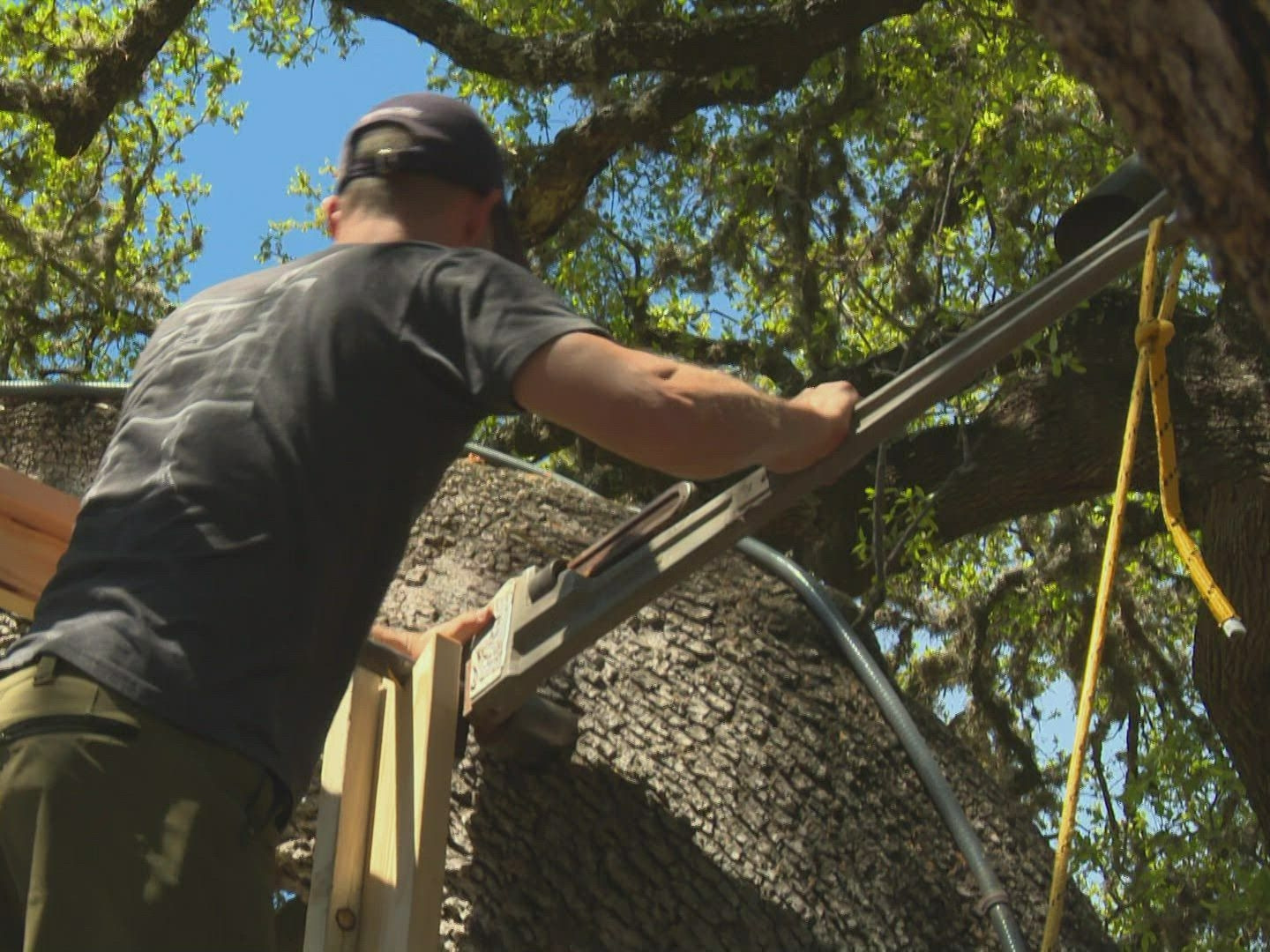 Prime Video: Treehouse Masters - Season 5