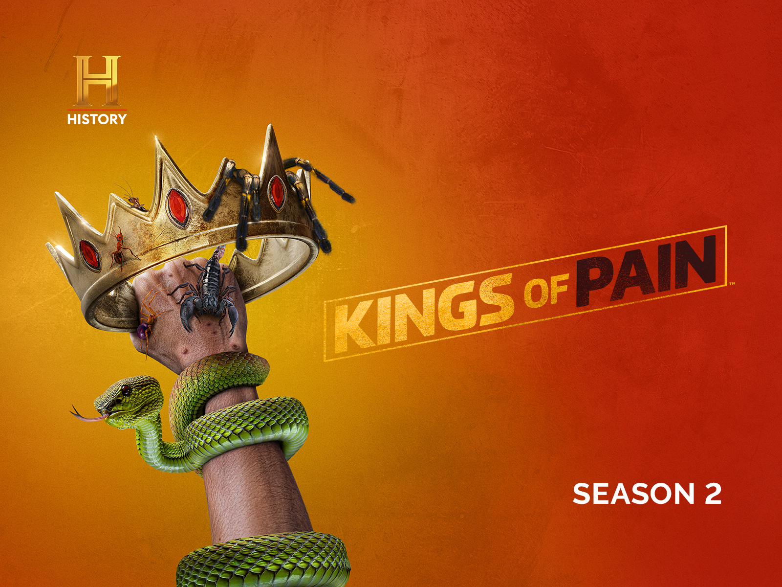 Prime Video: Kings of Pain - Season 2