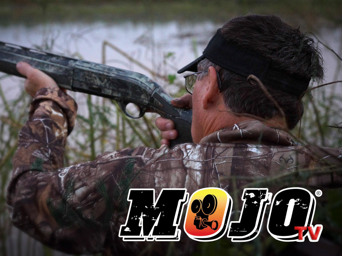 Prime Video: Mojo TV - Season 11