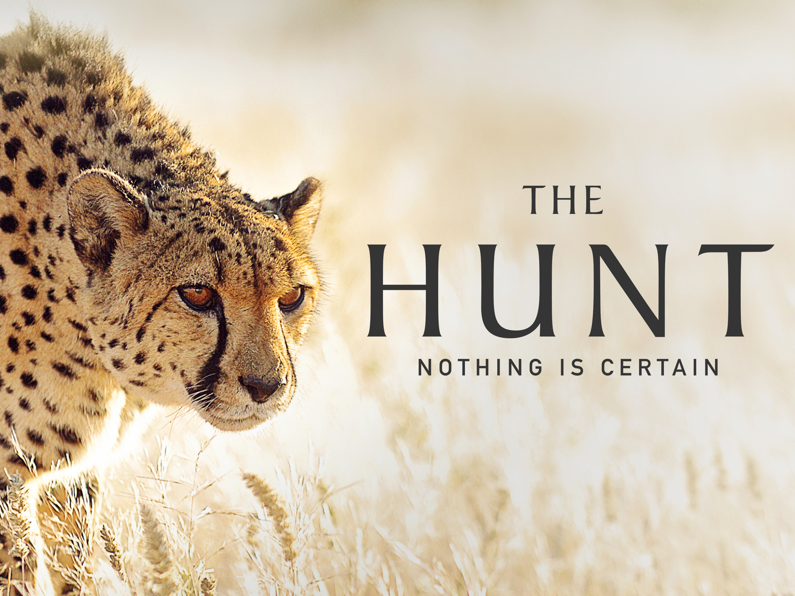 Prime Video: The Hunt - Season 1