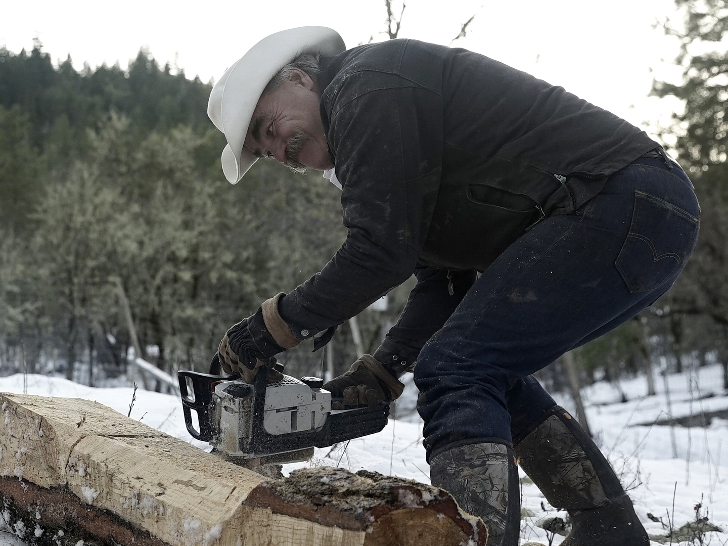 Prime Video: Homestead Rescue - Season 2